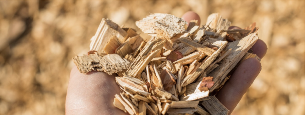 Wood Gasification - Biofuel - Acora